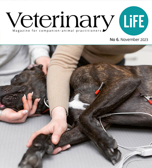 Cardiology – PetScience