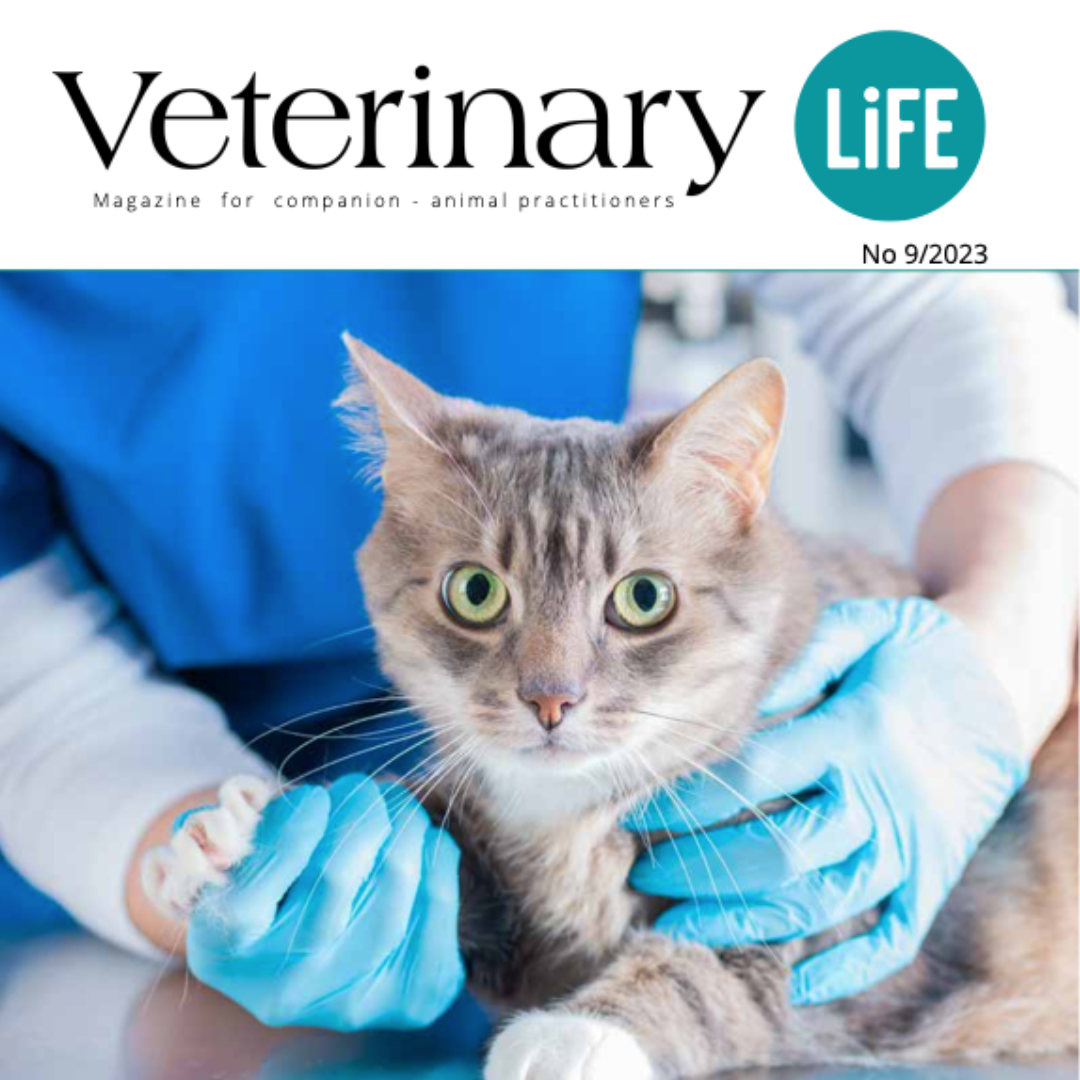 CAT - selected diseases and their treatment – PetScience