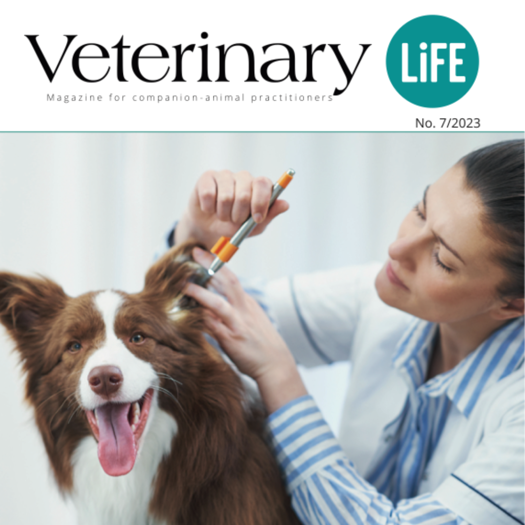 Dermatology – PetScience