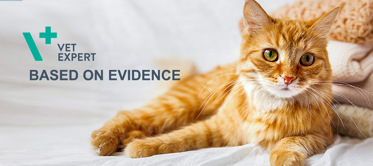 Supplements for Cats – PetScience