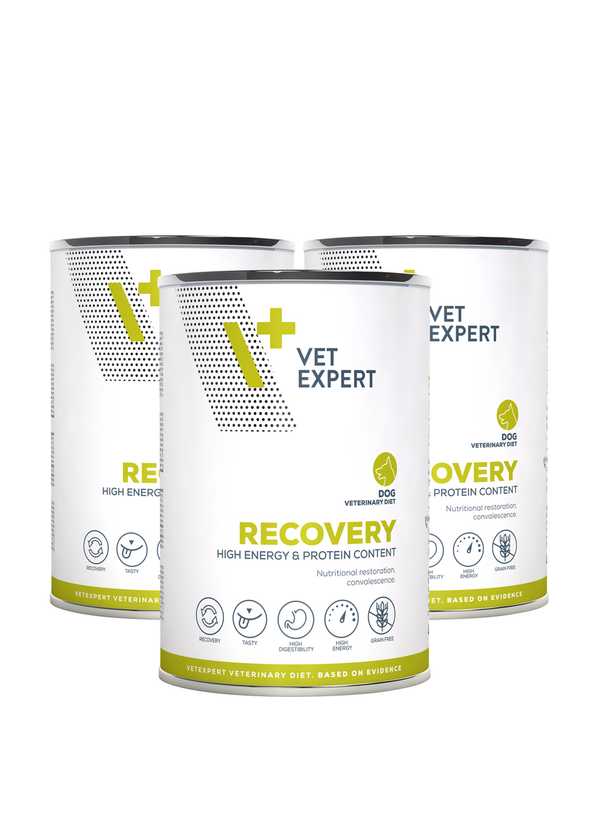 Vet Expert Recovery Dog 400g - wet veterinary food for dogs – PetScience
